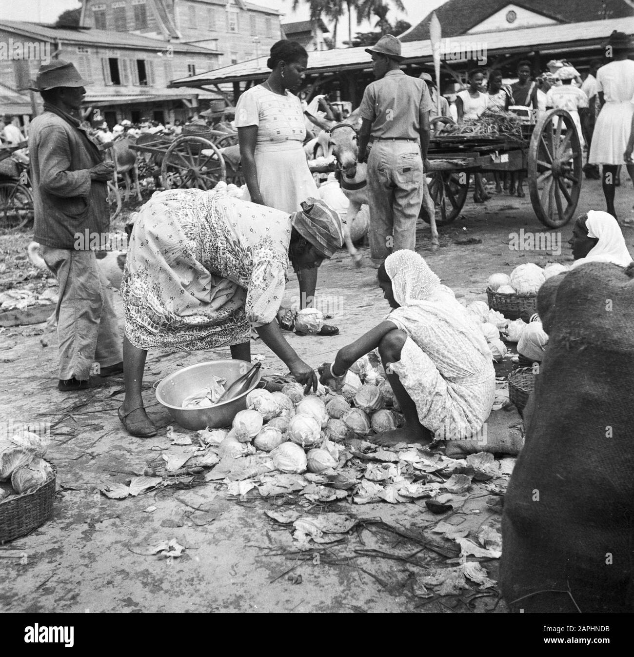 Travel to Suriname and the Netherlands Antilles Description: The market ...