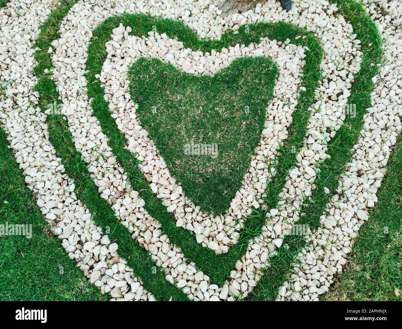 Top view of heart shape white stones on the grass for landscape design ...