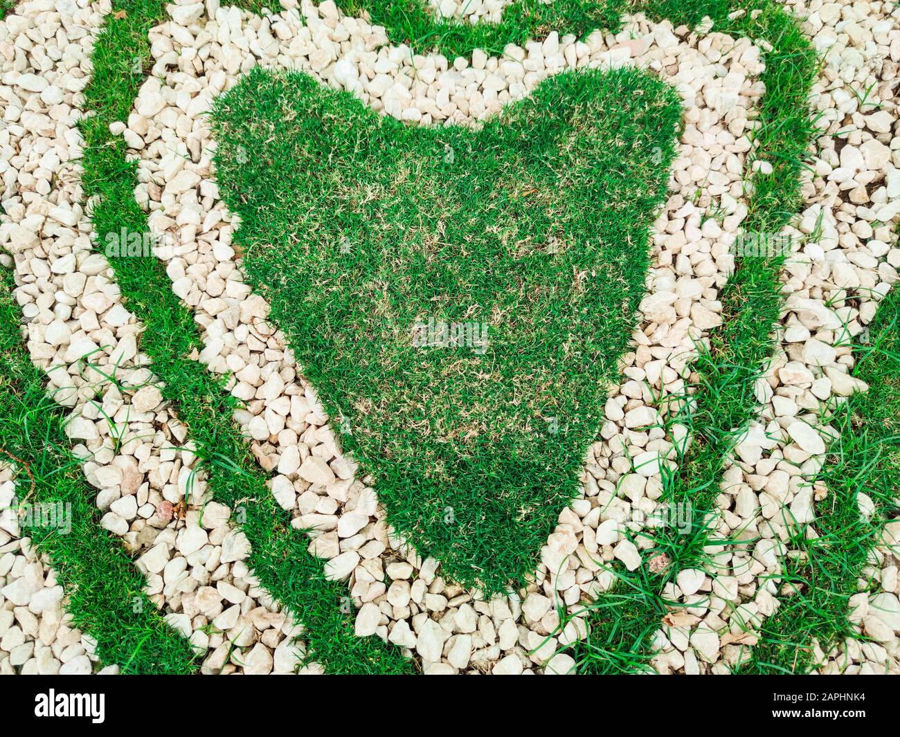 Top view of heart shape white stones on the grass for landscape design ...