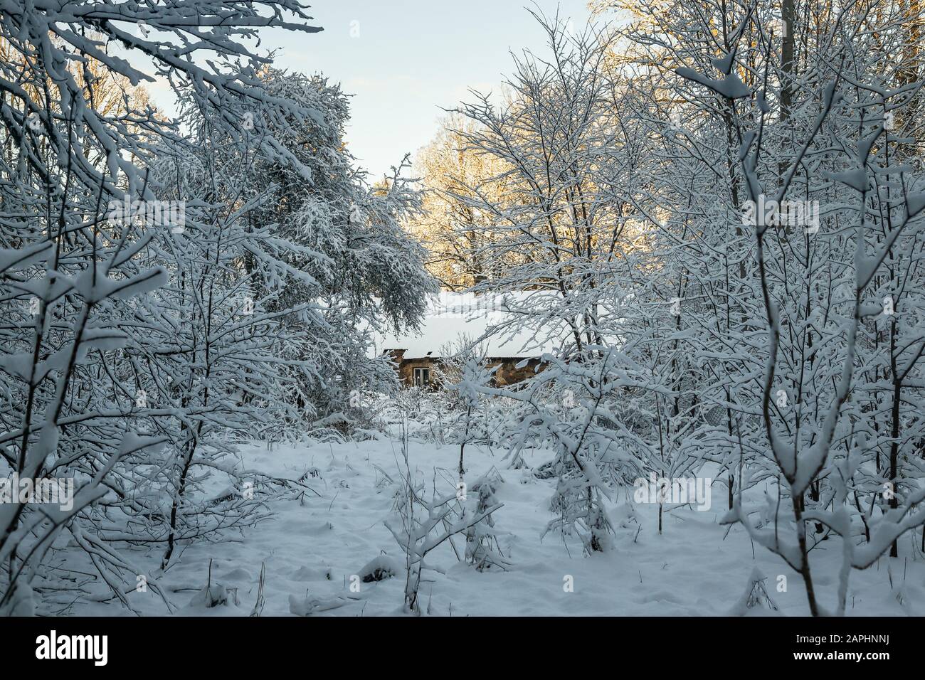 Old house in snowy forest hi-res stock photography and images - Alamy