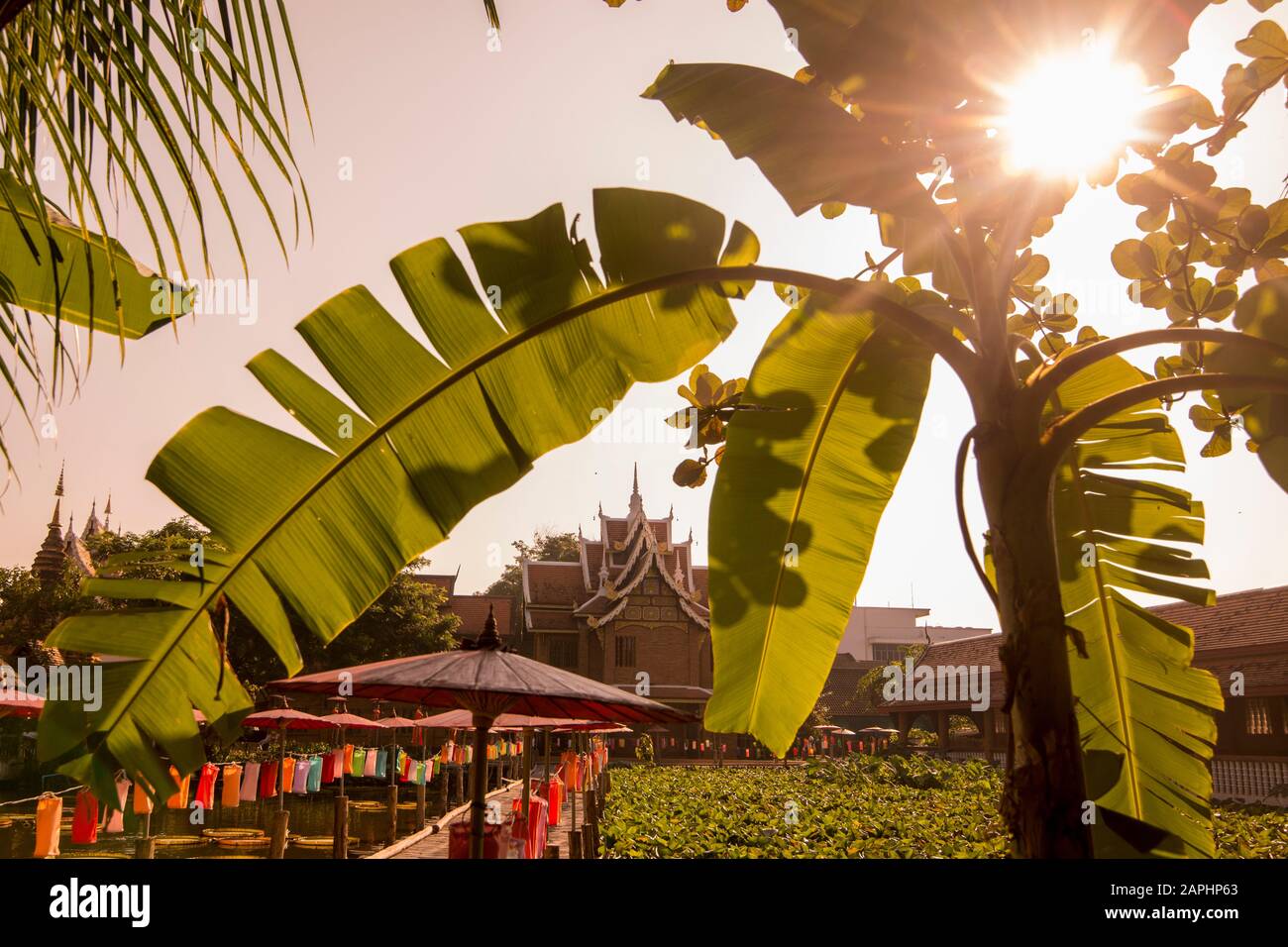 the Wat Jet Lin in the city of Chiang Mai at north Thailand. Thailand ...