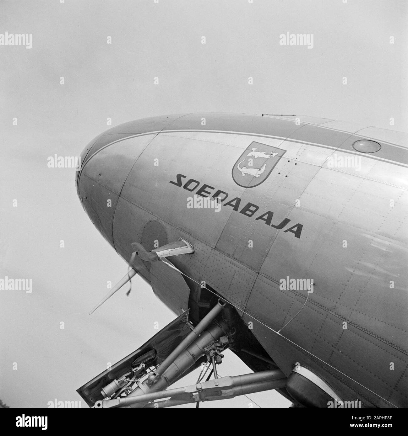 Corporate style and emblems KLM Description: The name lettering of the ...