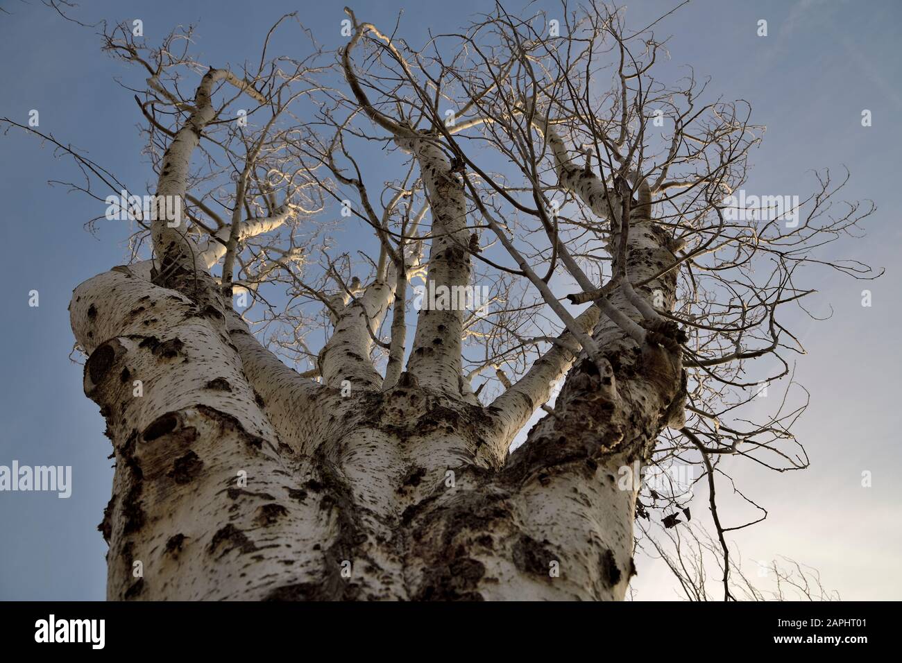 Hug abstract hi-res stock photography and images - Alamy