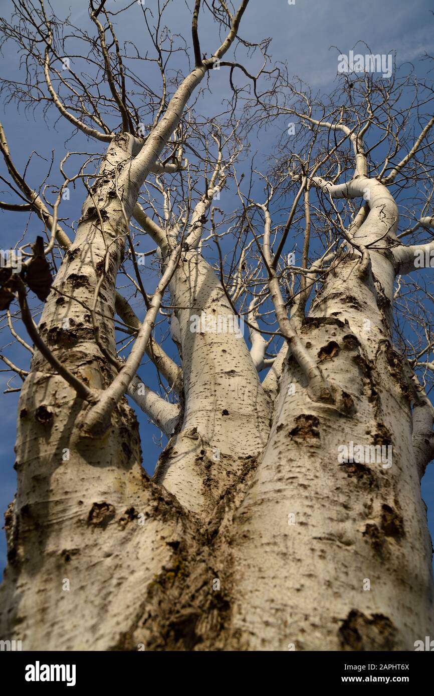 Digital post production hi-res stock photography and images - Alamy