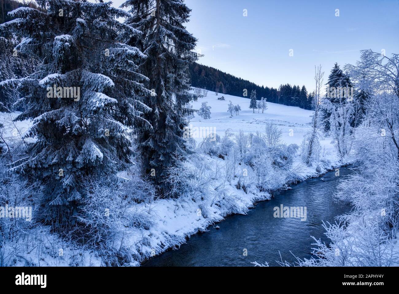 The cold waters of the stream flow in an outline of frozen trees Stock ...