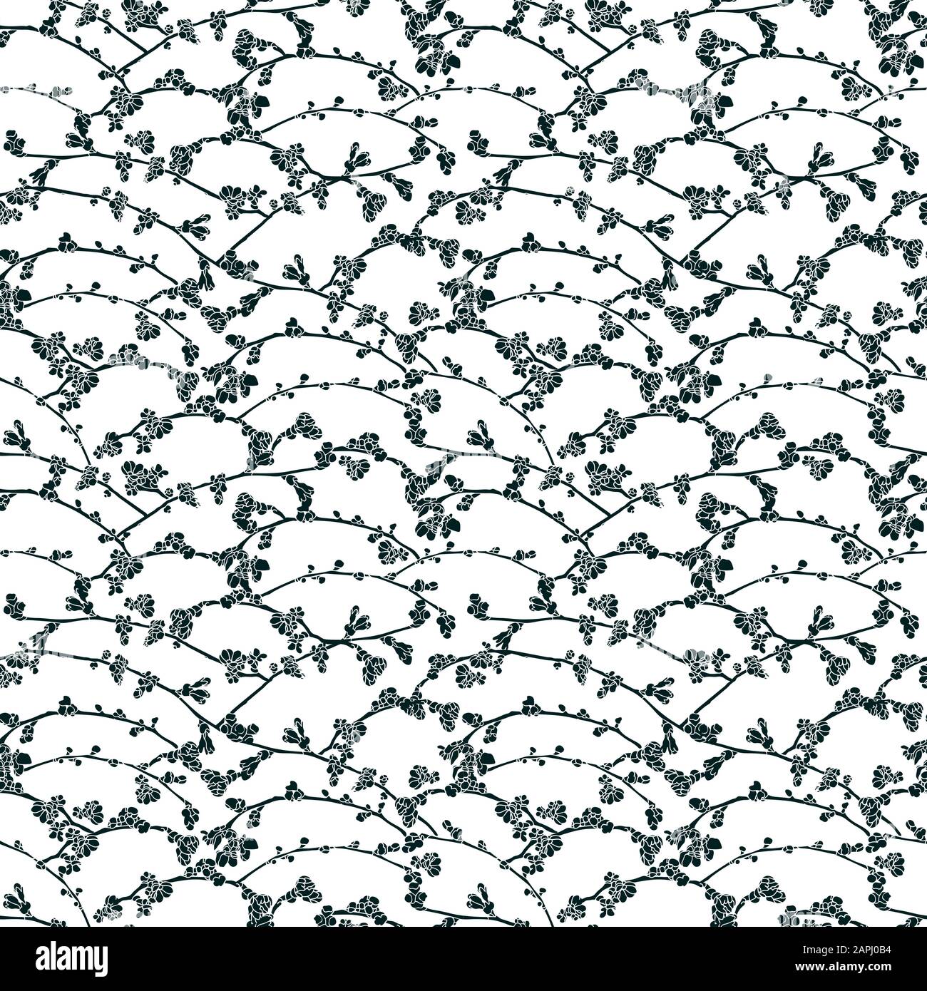 White cherry blossom event Stock Vector Images - Alamy