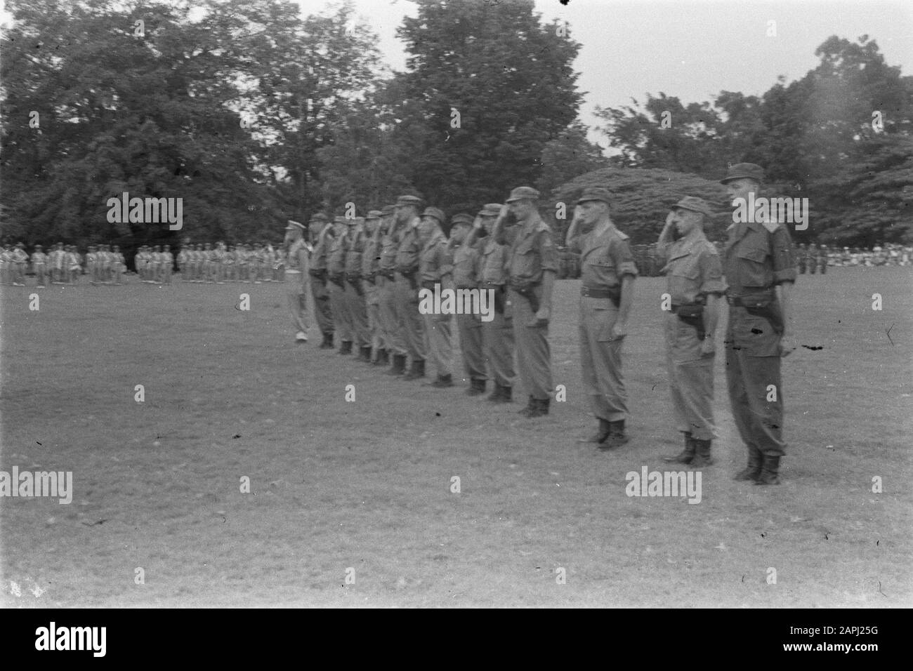 Sworn in by officers of the 7 December Division on the Royale Square in ...