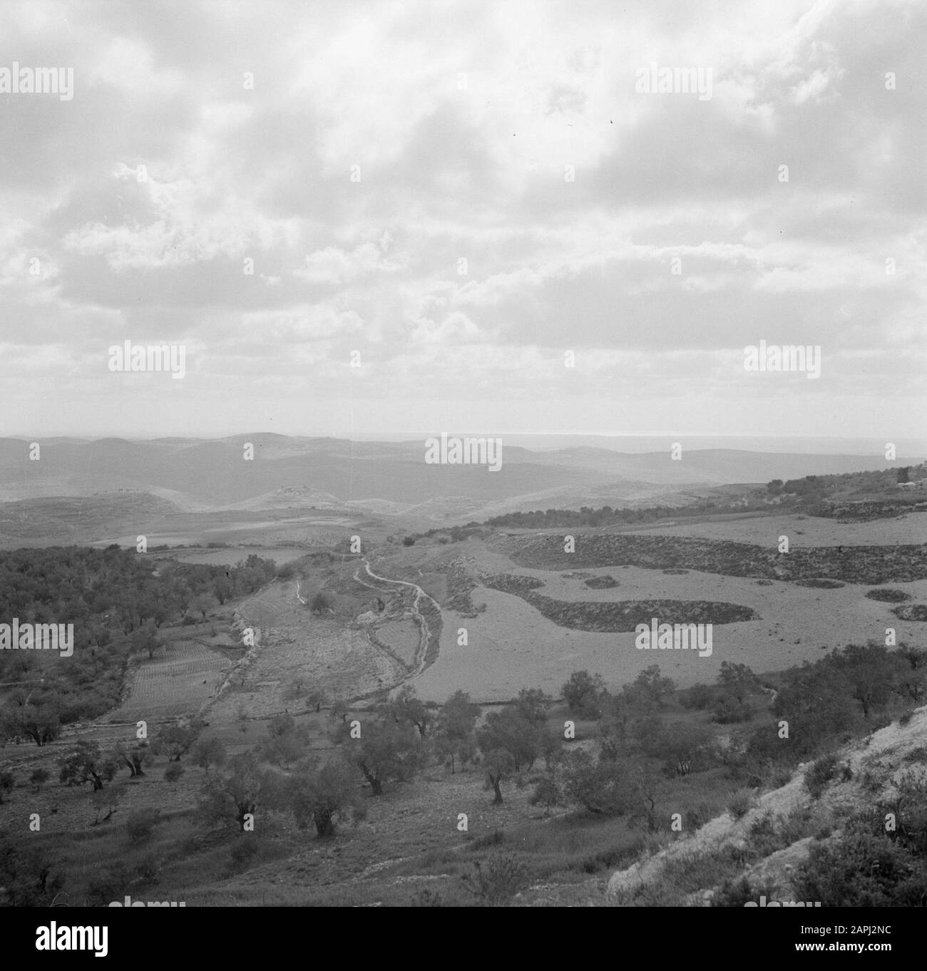 Middle East 1950-1955: Jordan - Galilee Description: The Sharon plain ...