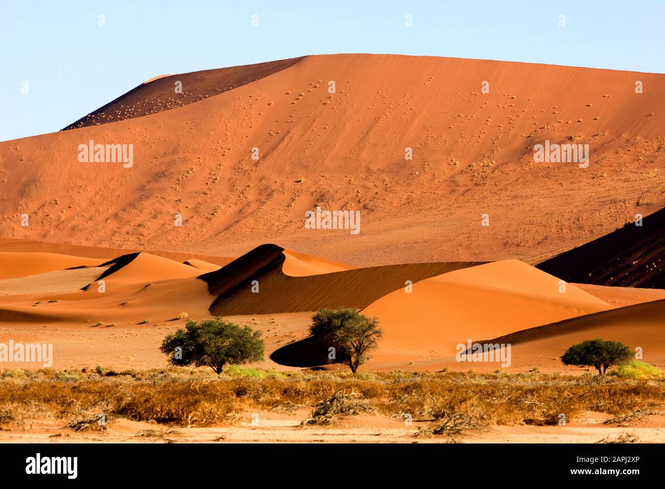 Namib Desert, Namib-Naukluft Park, Sossusvlei Dunes, Namibia Stock ...