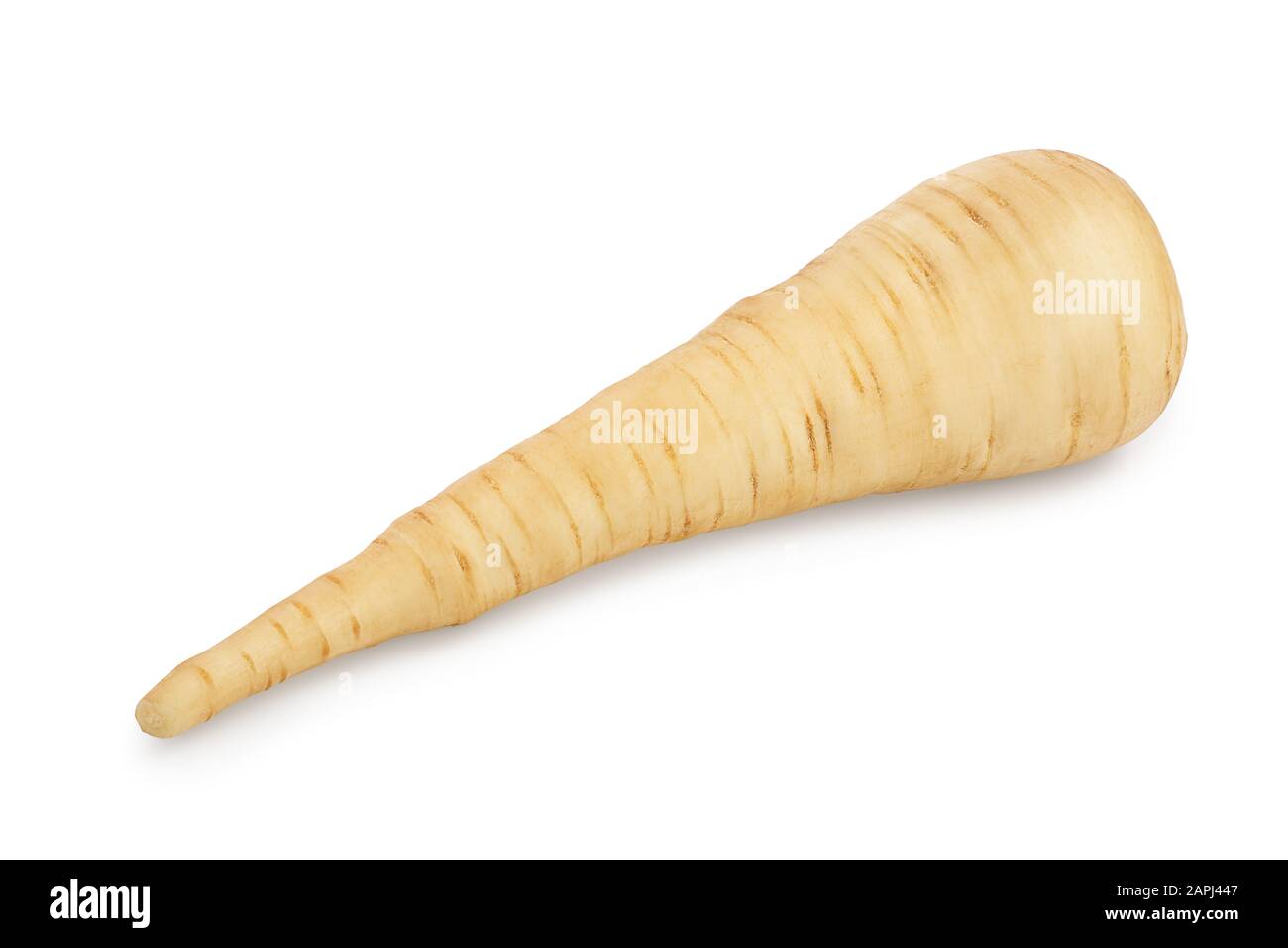 Parsnip root isolated on white background with clipping path Stock ...