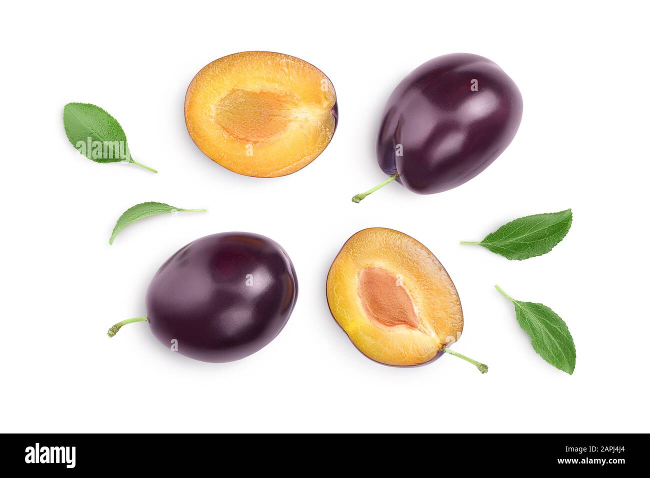 fresh purple plum and half with leaves isolated on white background ...