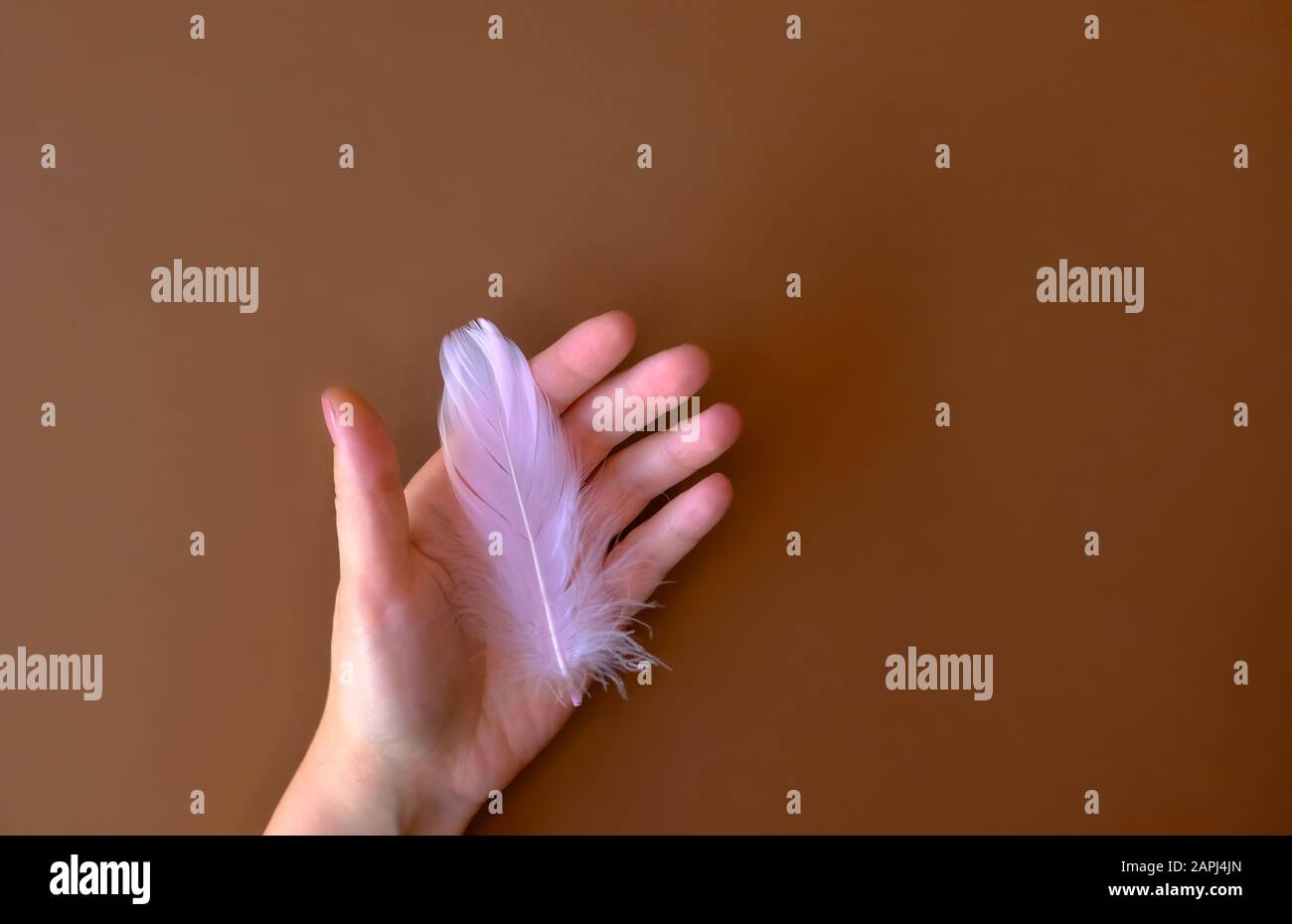 Feather in hand Stock Photo - Alamy