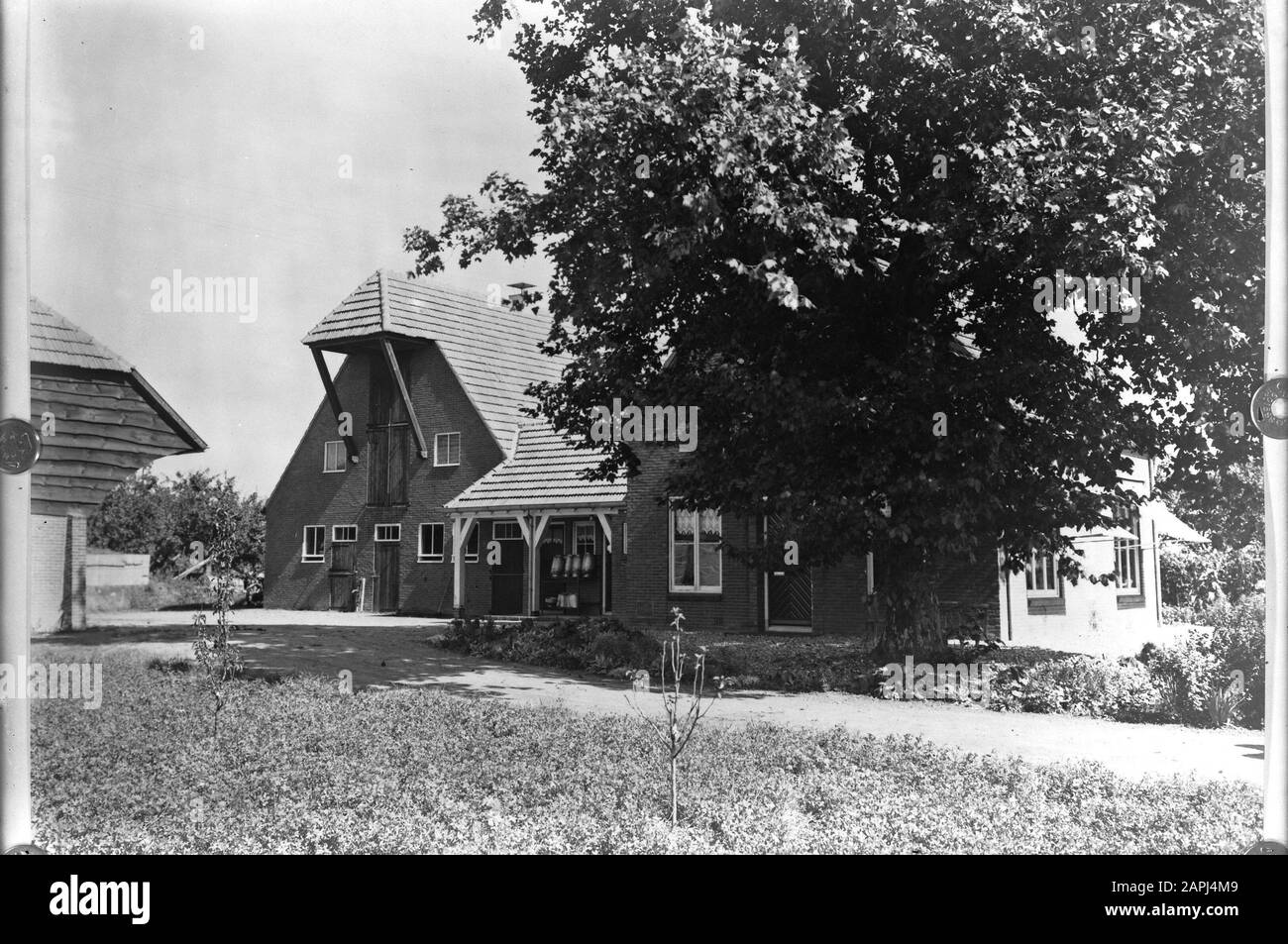 Farmhouse Laanzicht te Randwijk Datum: july 1950 Location: Randwijk ...
