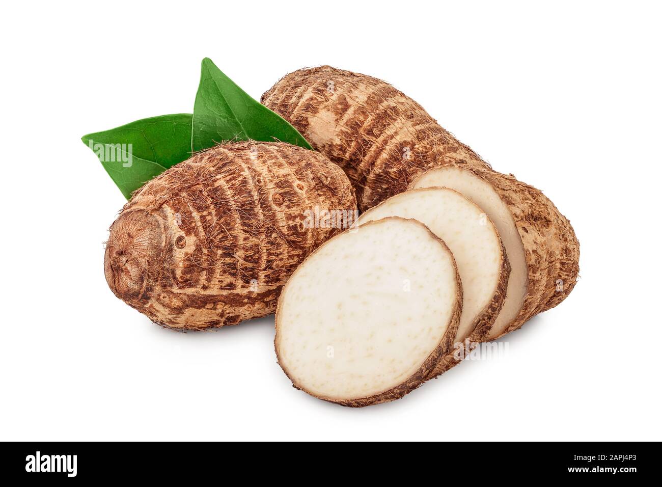 fresh taro root with slices and leaf isolated on white background Stock ...