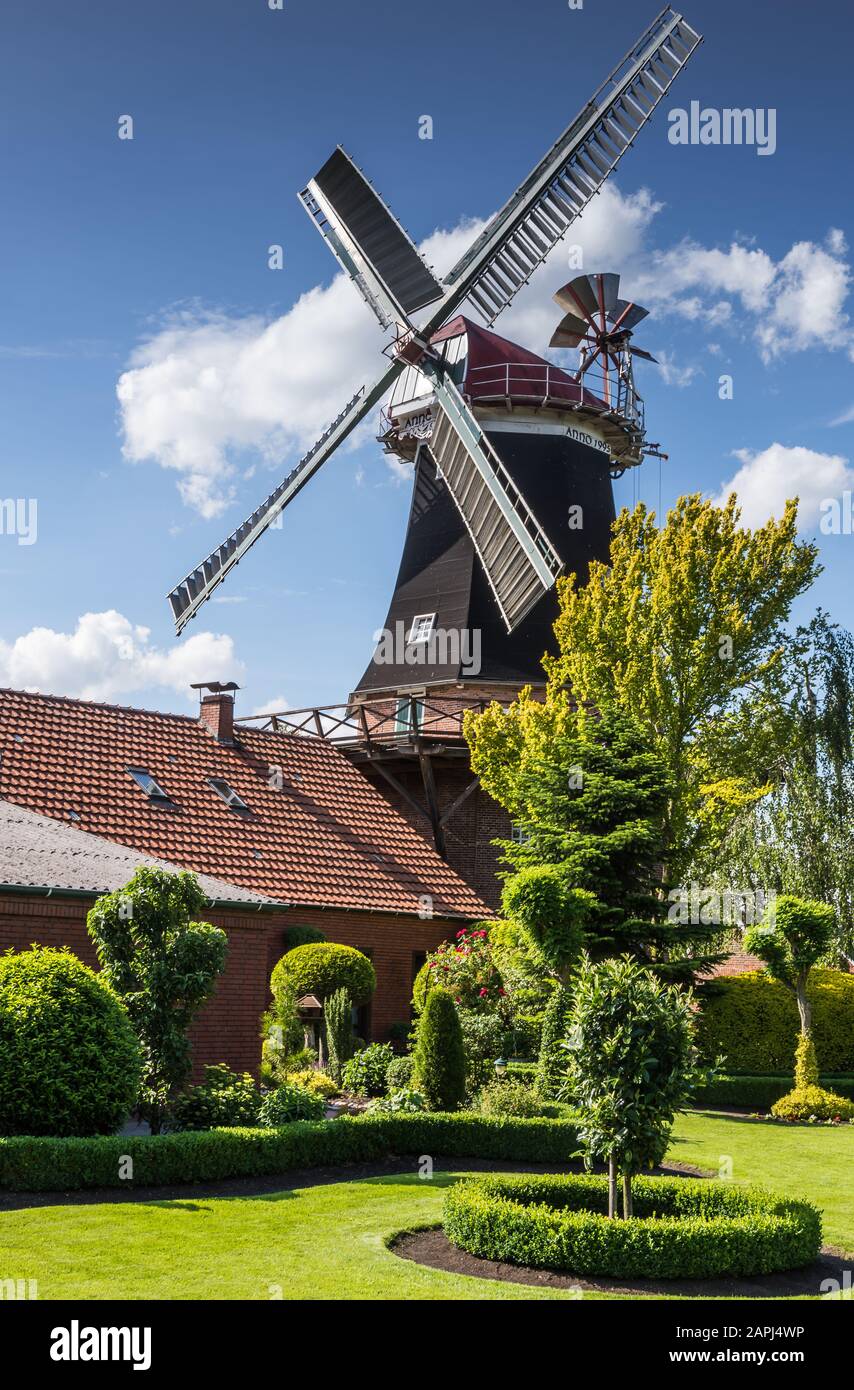 Windmill Rhaude in green nature, Leer district, East Frisia, Lower ...