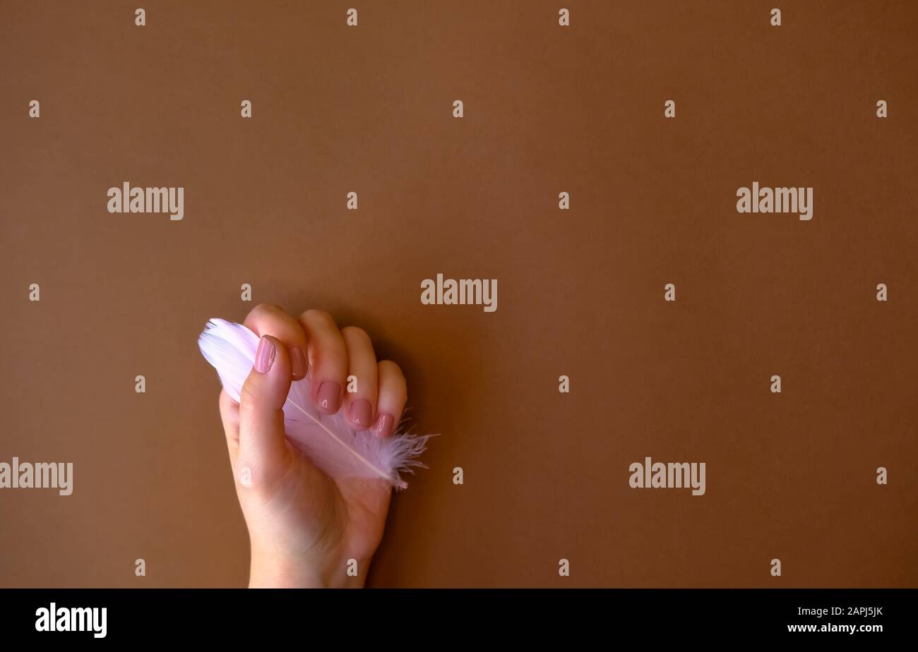 Feather in hand Stock Photo - Alamy