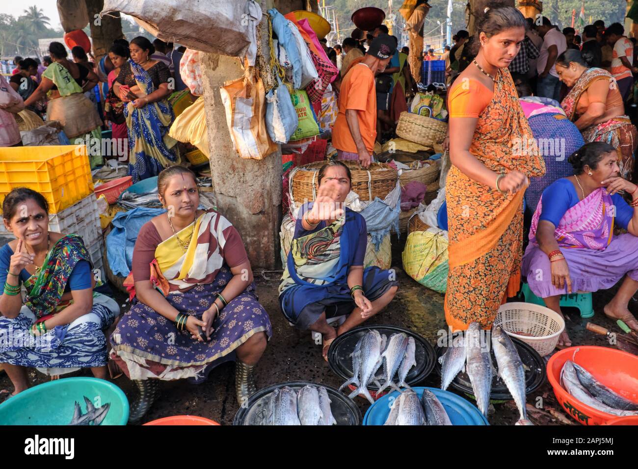 Women selling fish india hi-res stock photography and images - Alamy