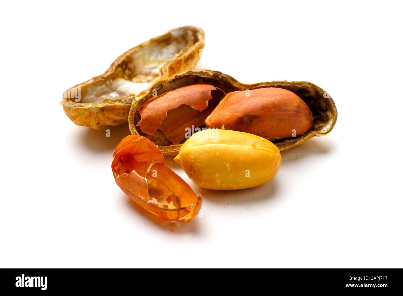 Open peanut pod isolated on white background with copy space Stock ...