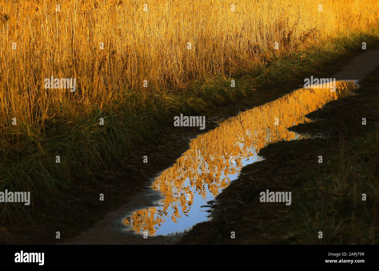 Puddle reflection in road hi-res stock photography and images - Alamy