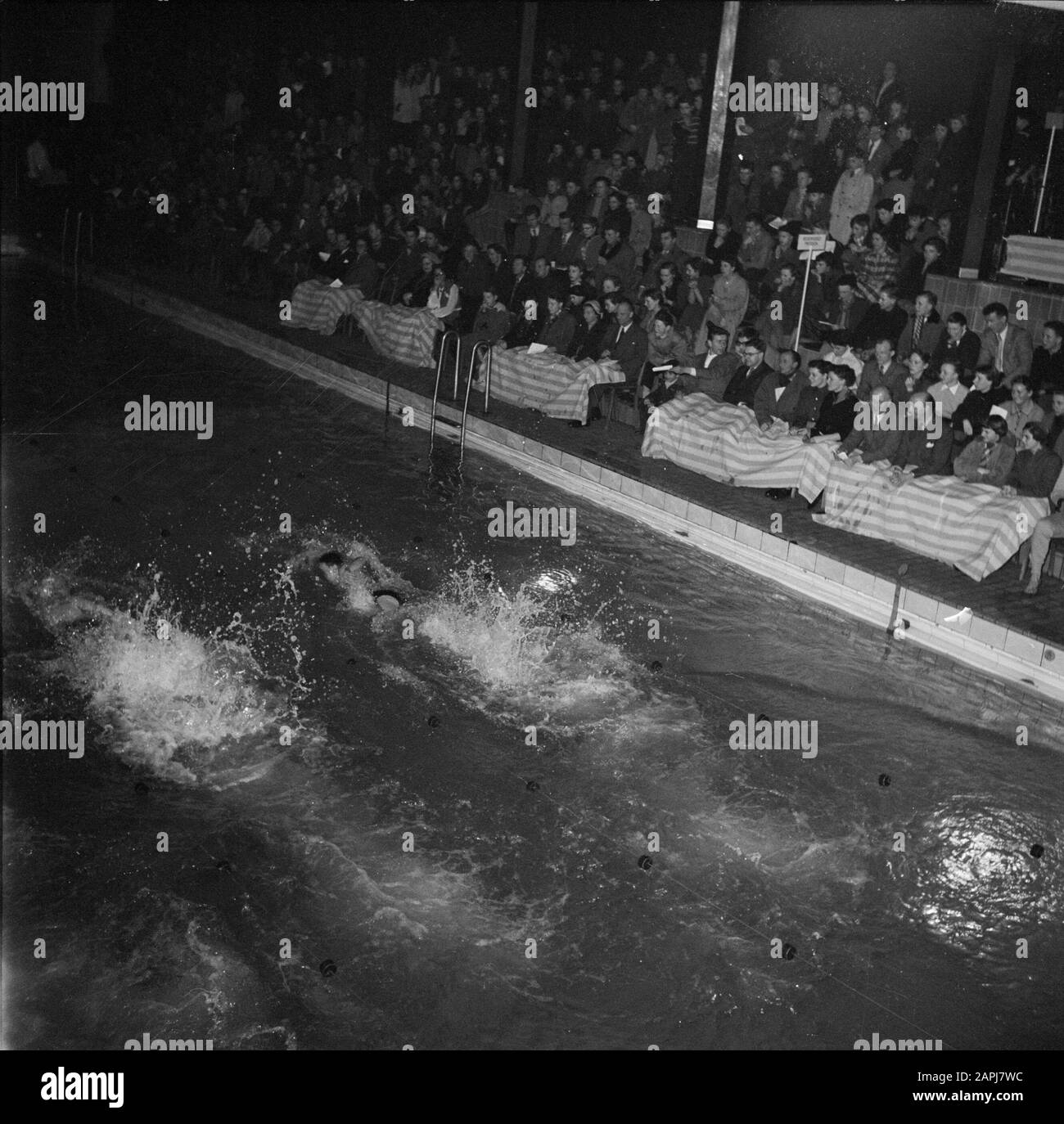 Swimming pool audience Black and White Stock Photos & Images - Alamy