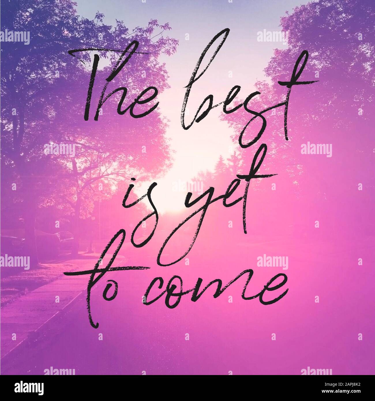Inspirational Quote - The best is yet to come with pink tone Stock ...
