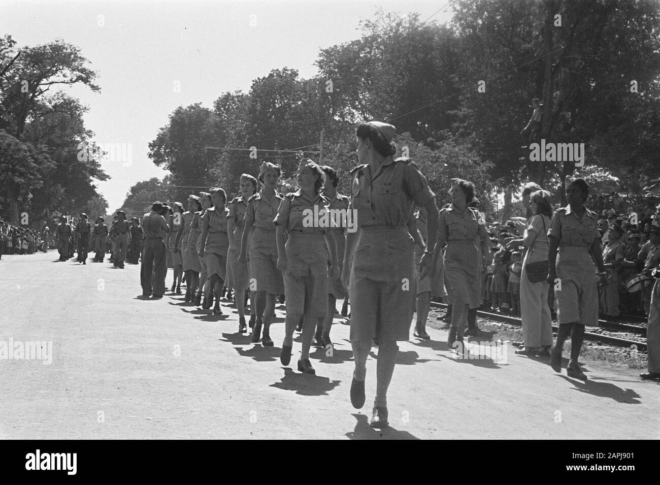 Celebrations following the birth of Princess Marijke Description ...