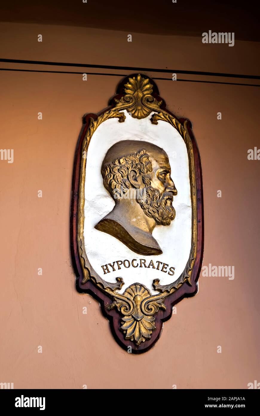 Hippocratic face hi-res stock photography and images - Alamy