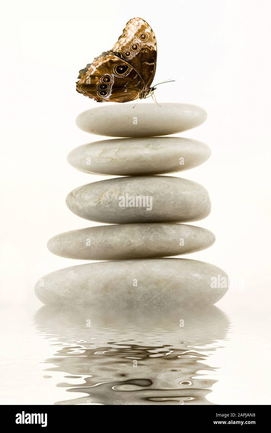 zen garden with stone pyramid and above a butterfly Stock Photo - Alamy