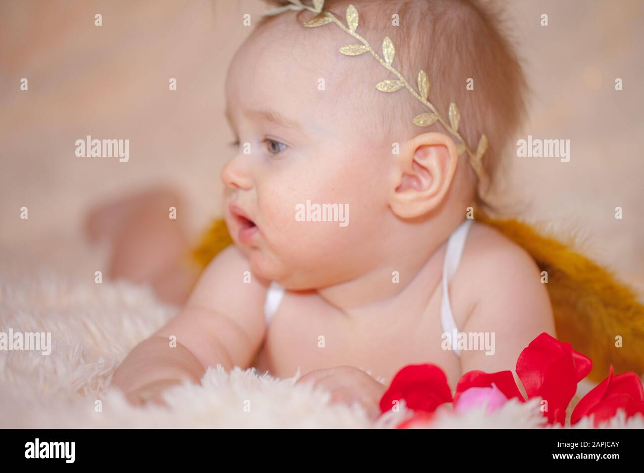 Little baby, angel in roses on a beige background Stock Photo - Alamy