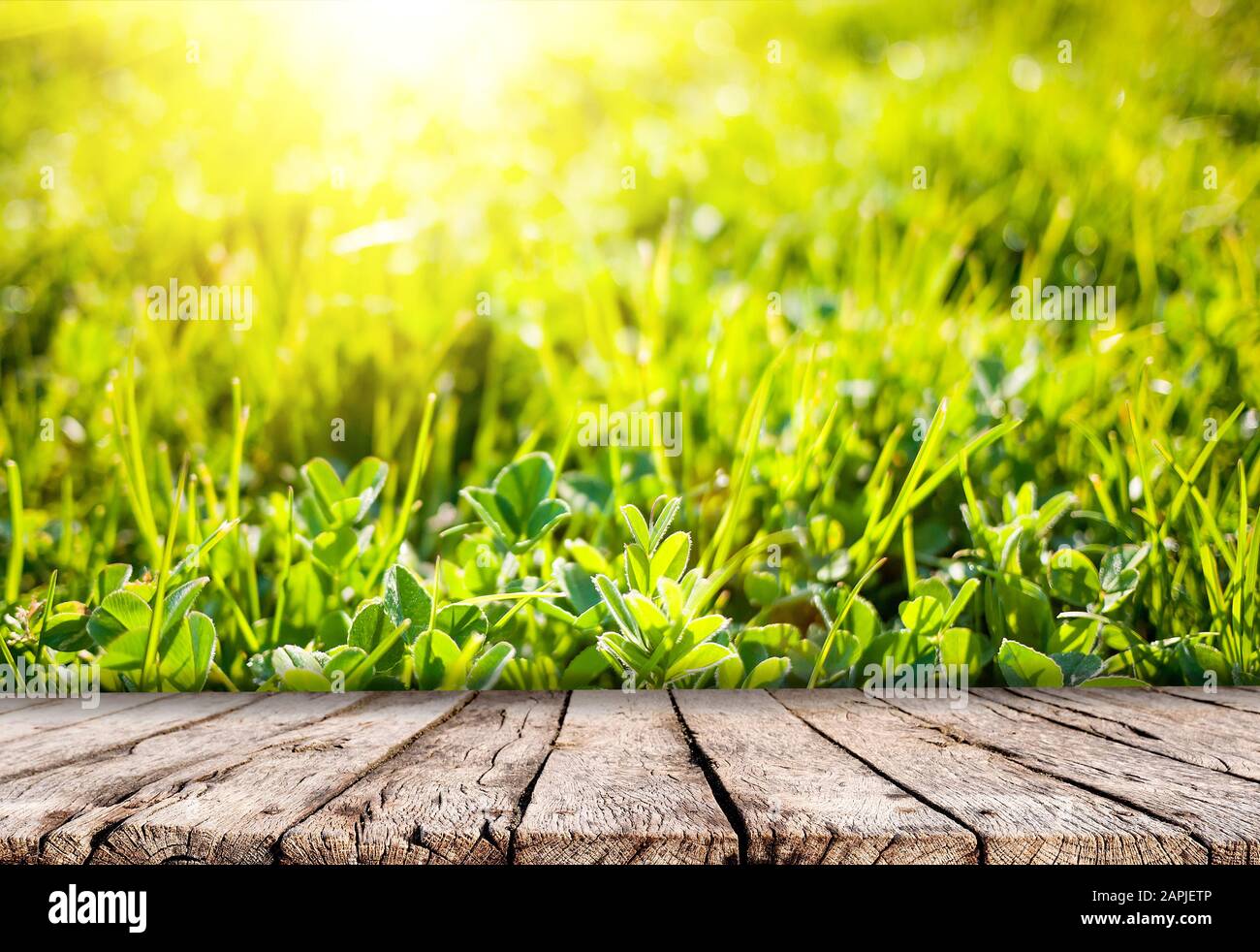 Wooden table top and spring grass nature background Stock Photo - Alamy