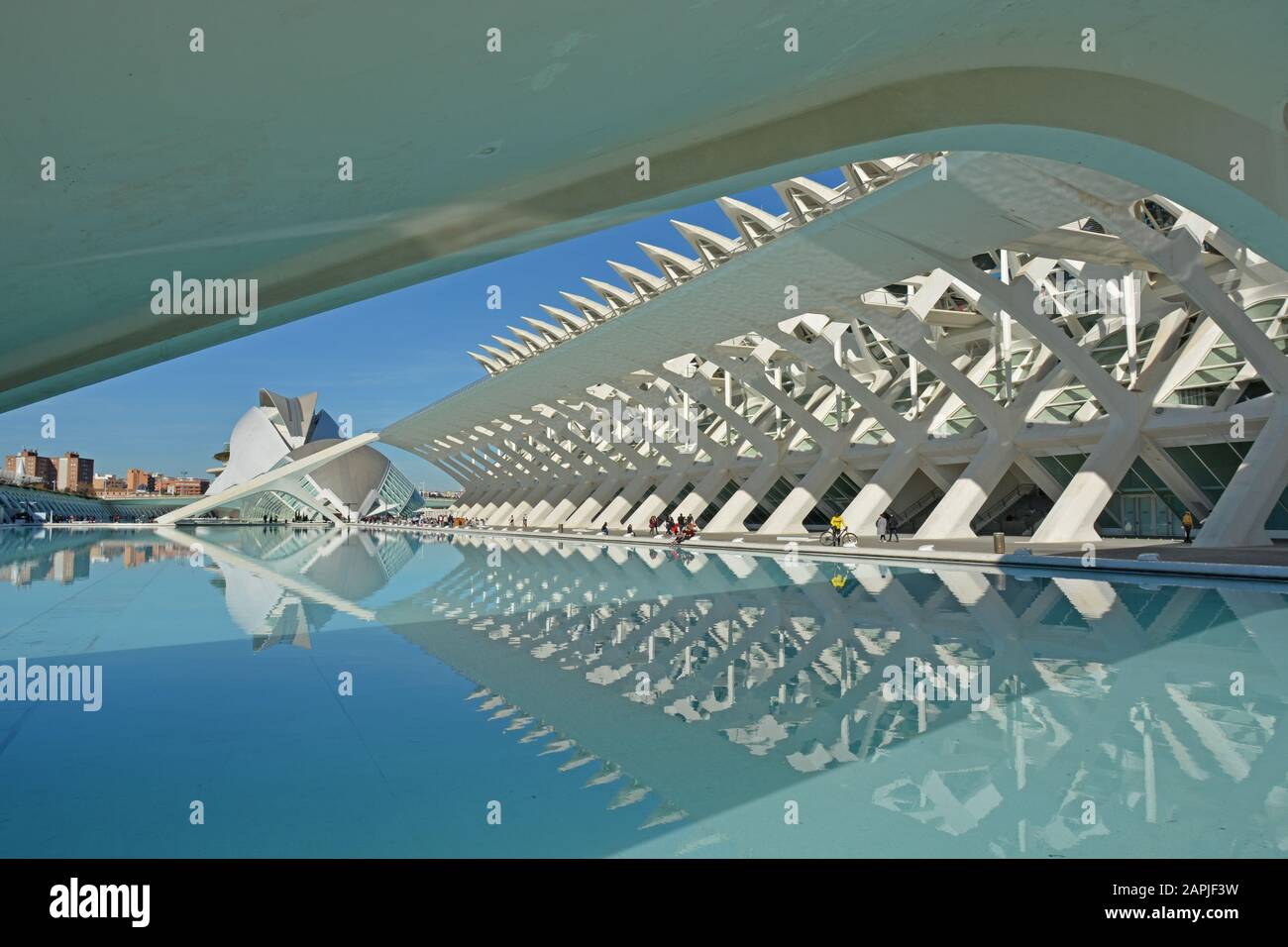 Valencia and the architecture of Santiago Calatrava Stock Photo - Alamy