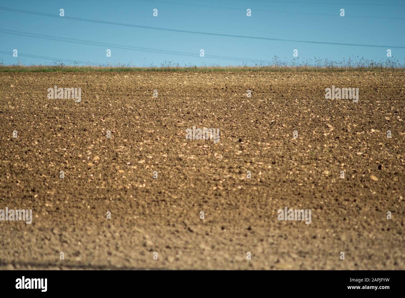 landscape with a field with rendzina soil with visible limestone rocks ...