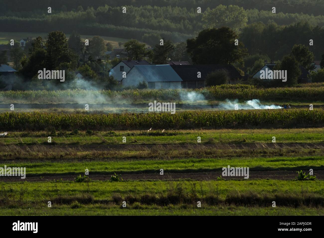 rural landscape with empty fields at the end of the summer season Stock ...