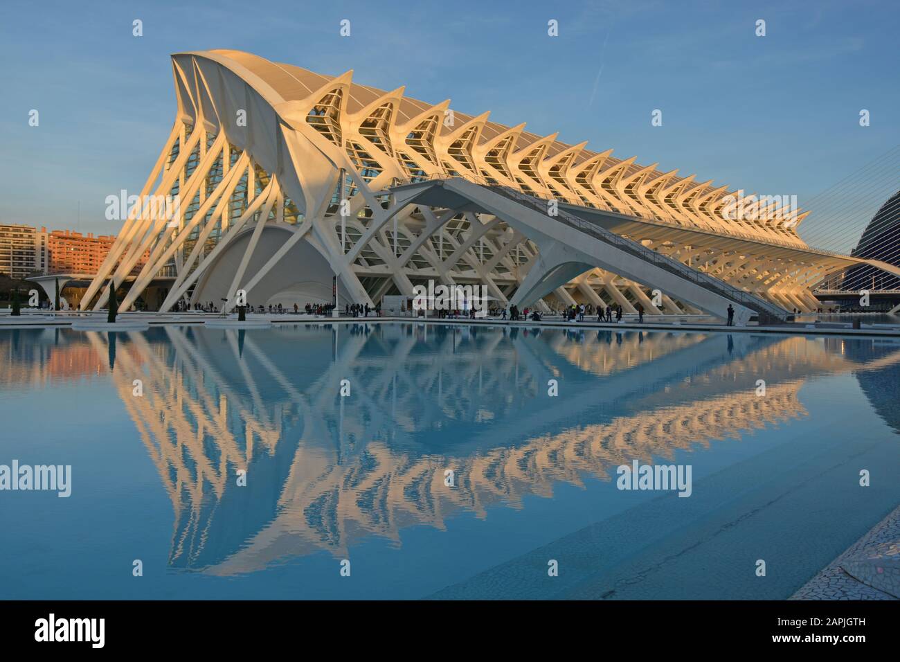 Valencia and the architecture of Santiago Calatrava Stock Photo - Alamy