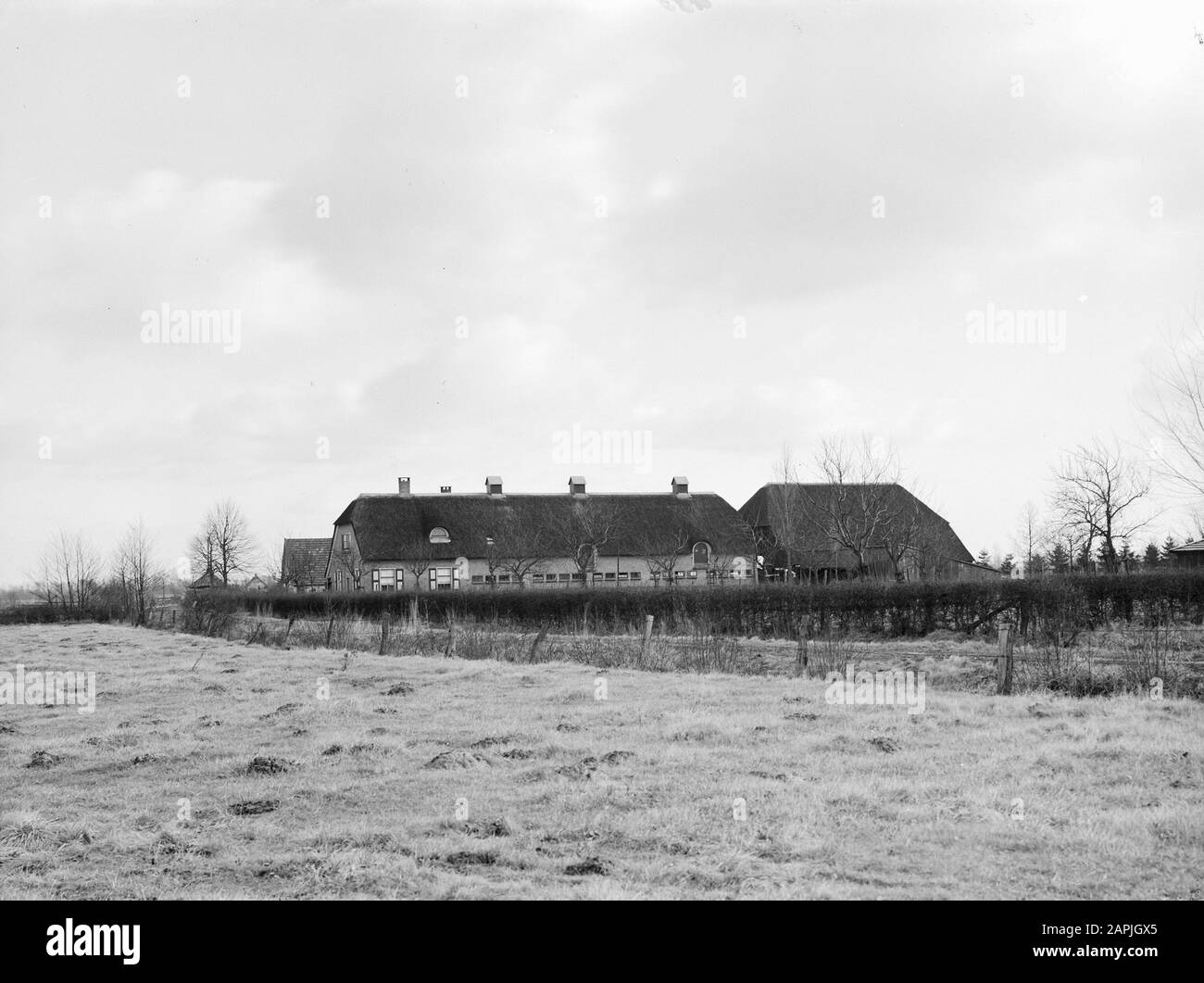 Nitrogen management Black and White Stock Photos & Images - Alamy