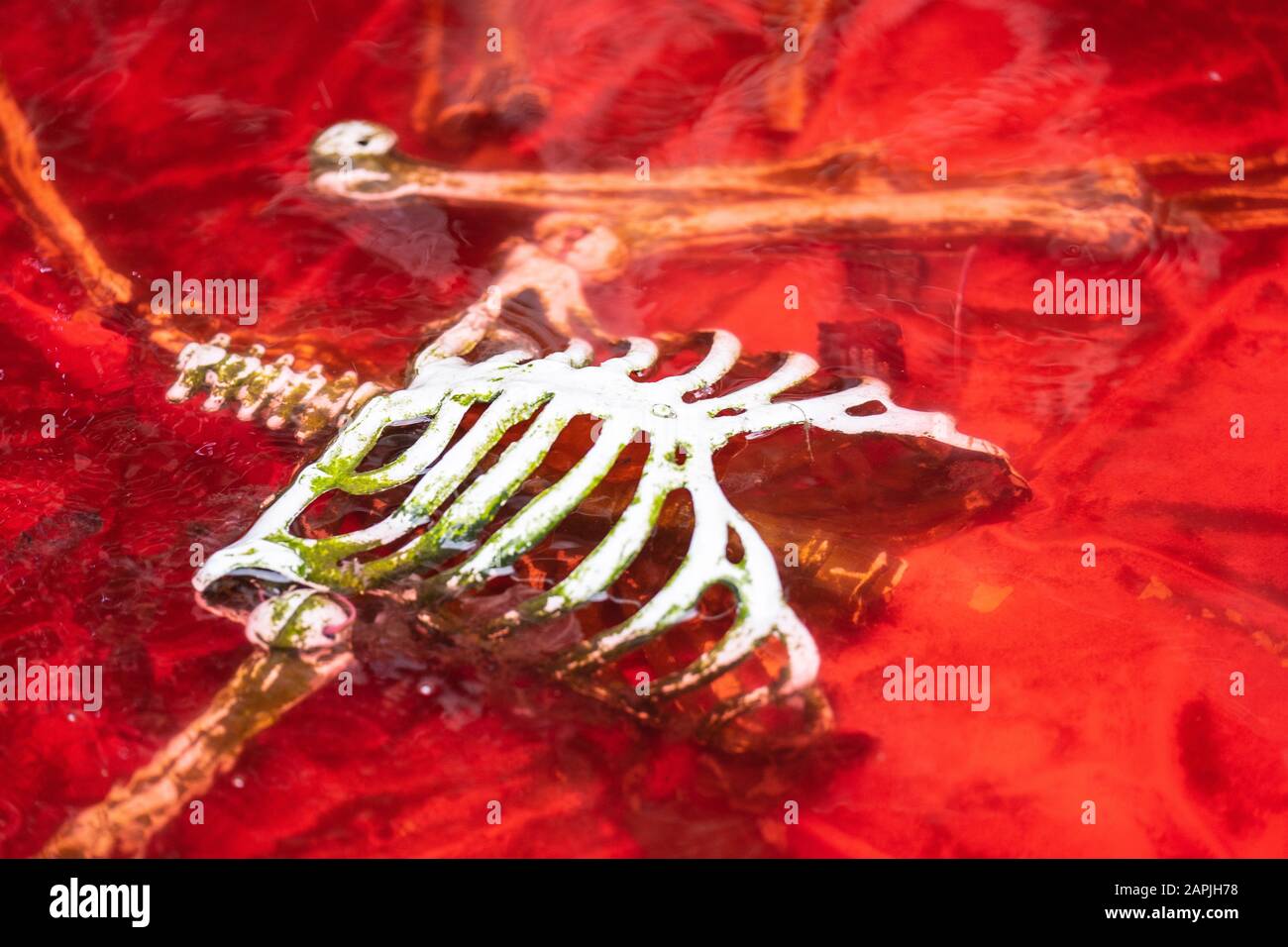 Artificial skeleton and bones floating in pool full of blood.Halloween ...