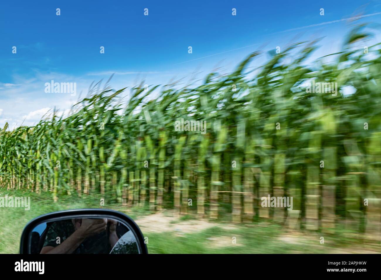Photo of blurred motion corn field.Shot taken while driving the car ...