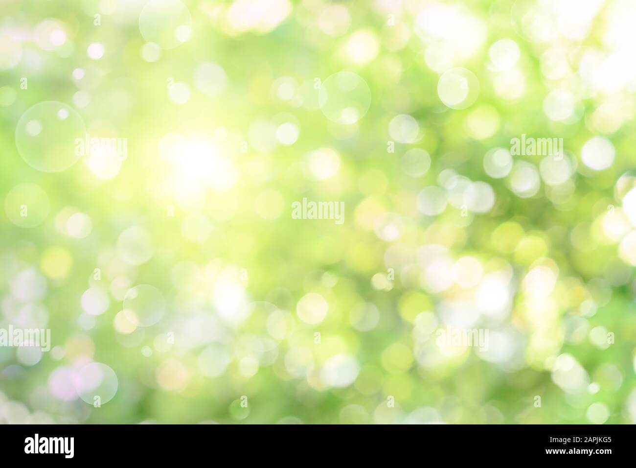 Bright Backgrounds Nature