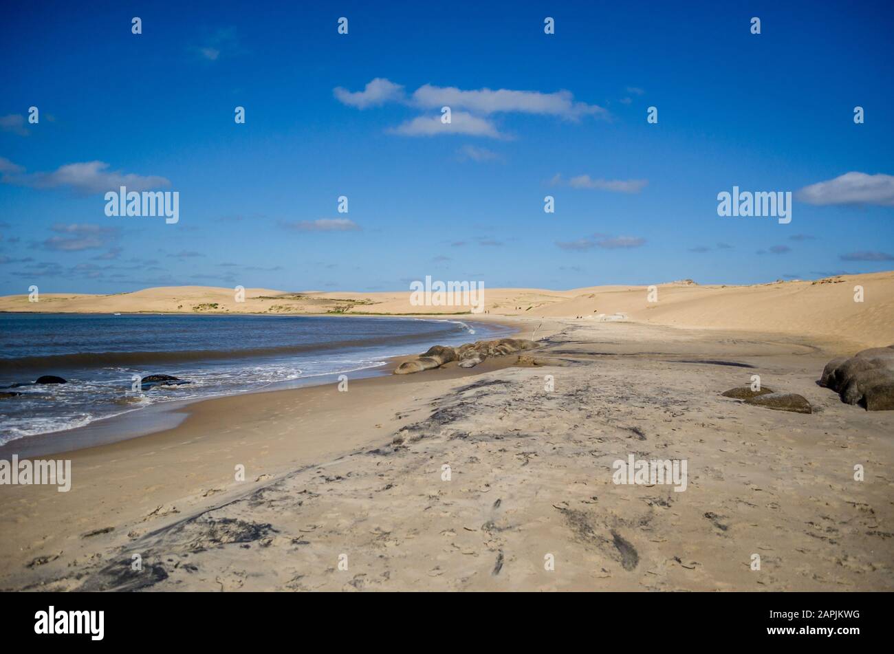 Beach landscapes and dunes in Barra de Valizas, Uruguay. February 2018 ...