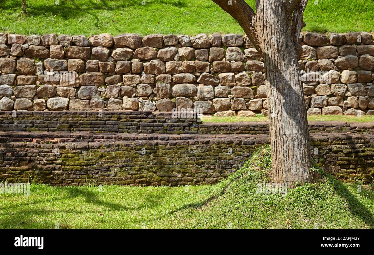 Old tree in front of an ancient wall Stock Photo - Alamy