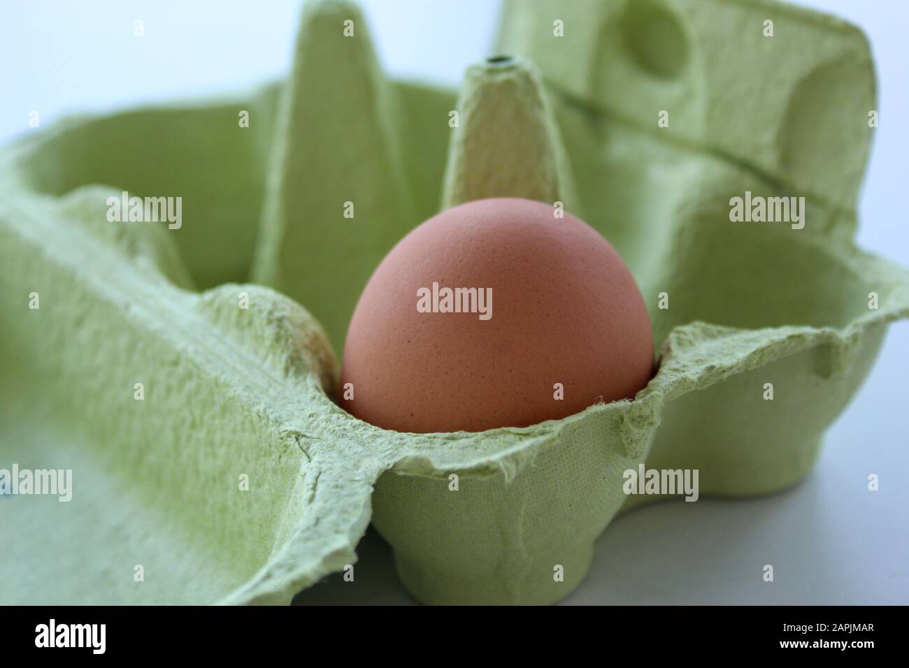 Single egg in paper hi-res stock photography and images - Alamy
