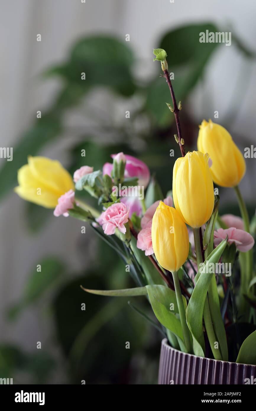 Contrast flower colors hi-res stock photography and images - Alamy