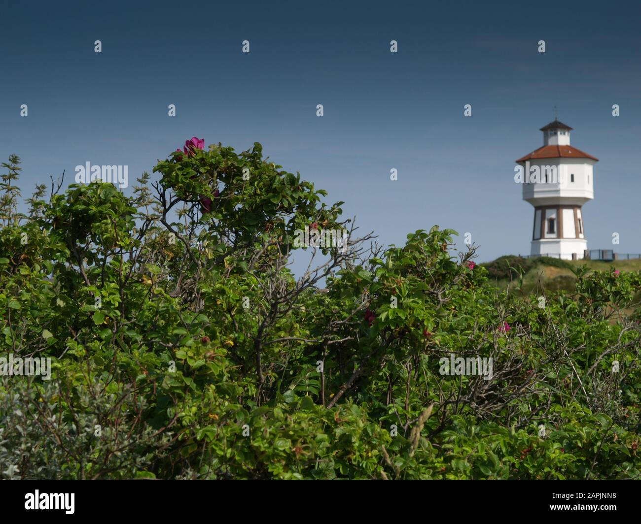 the beach of Langeoog island Stock Photo - Alamy