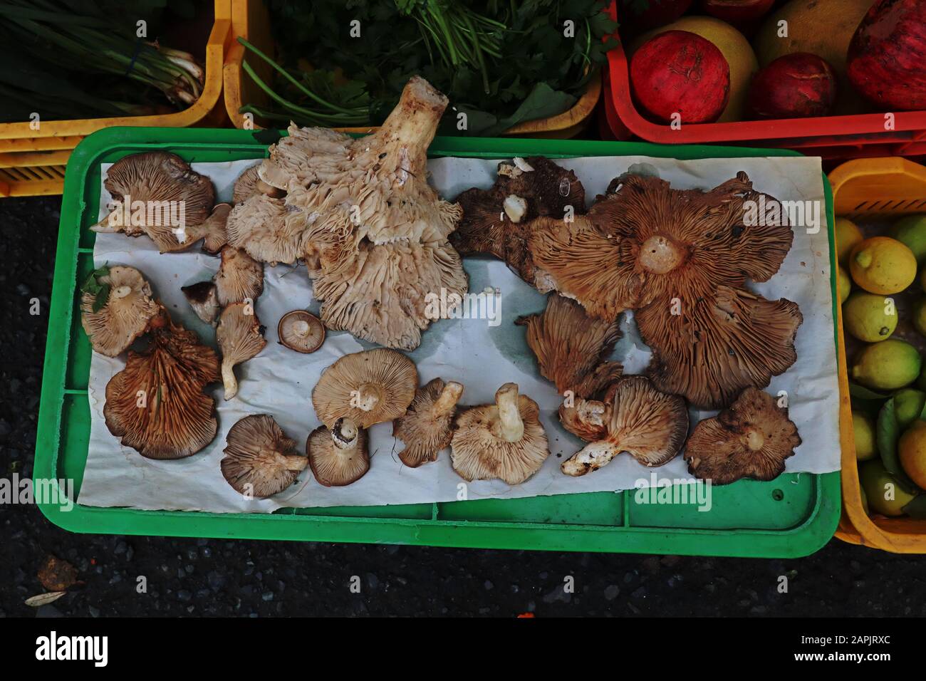 Large portobello mushrooms hi-res stock photography and images - Alamy