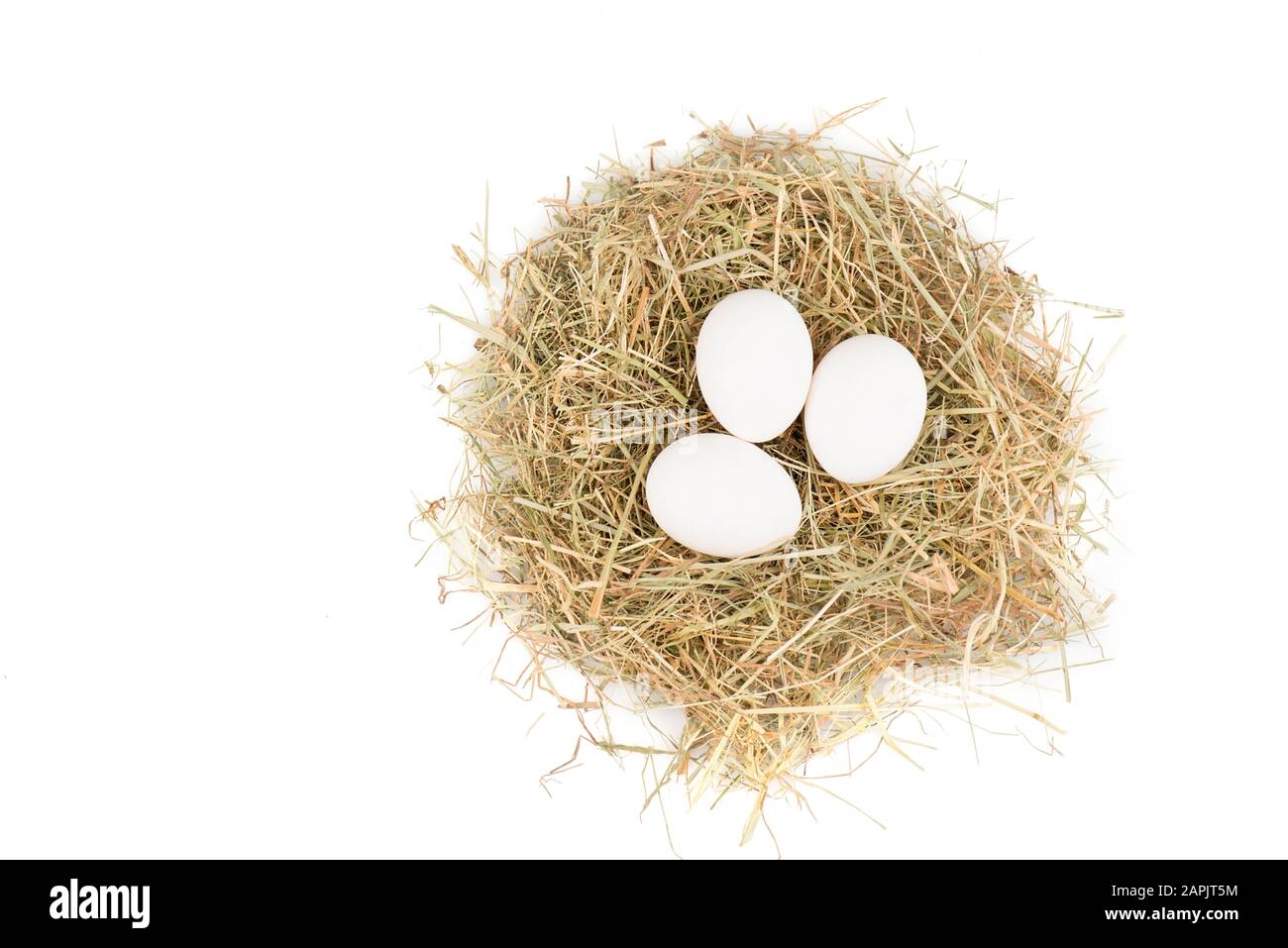 White eggs, empty copy space, egg nest Stock Photo - Alamy
