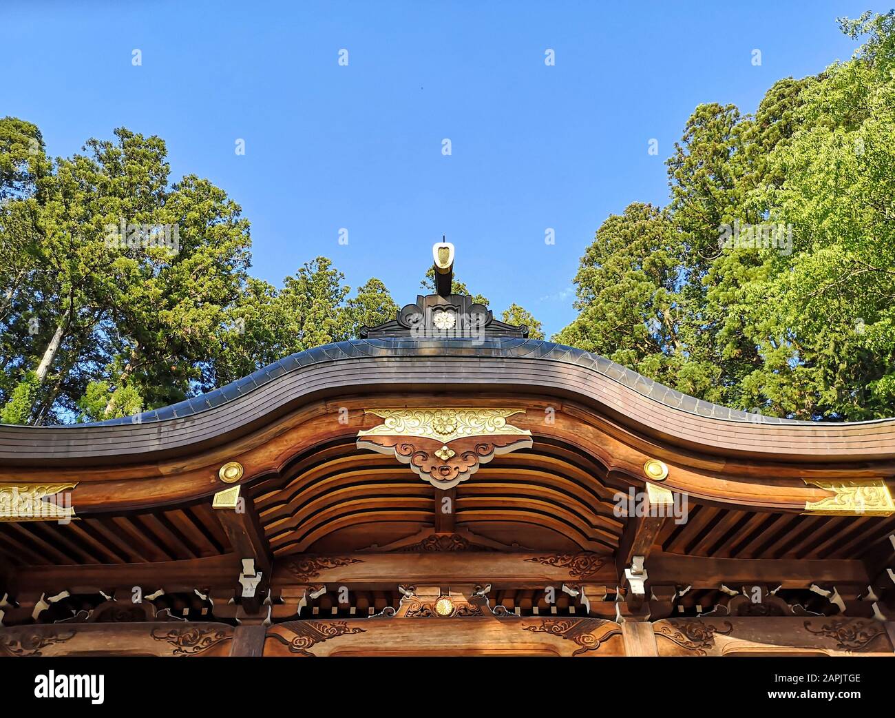 Timber roof of the Sakurayama Hachimangu shrine, the oldest shrine in ...