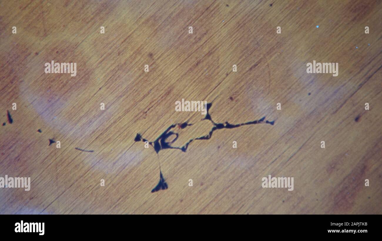 Porosity High Resolution Stock Photography and Images - Alamy