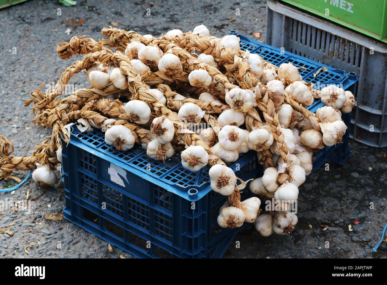 Bunch of garlic on plastic box Stock Photo - Alamy