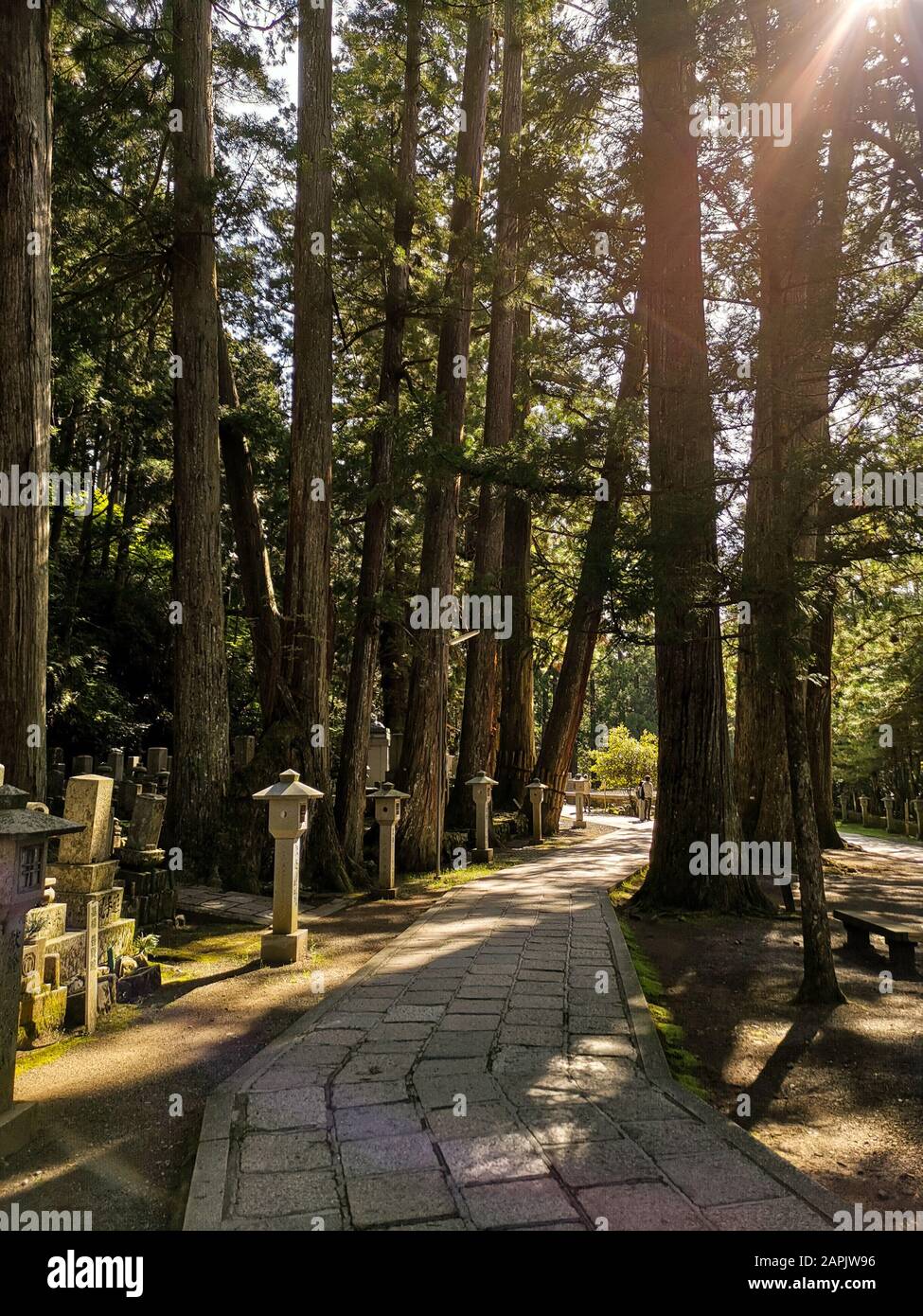 Two kilometer long path in the Okunion cemetery in Koyasan ( Wakayama ...