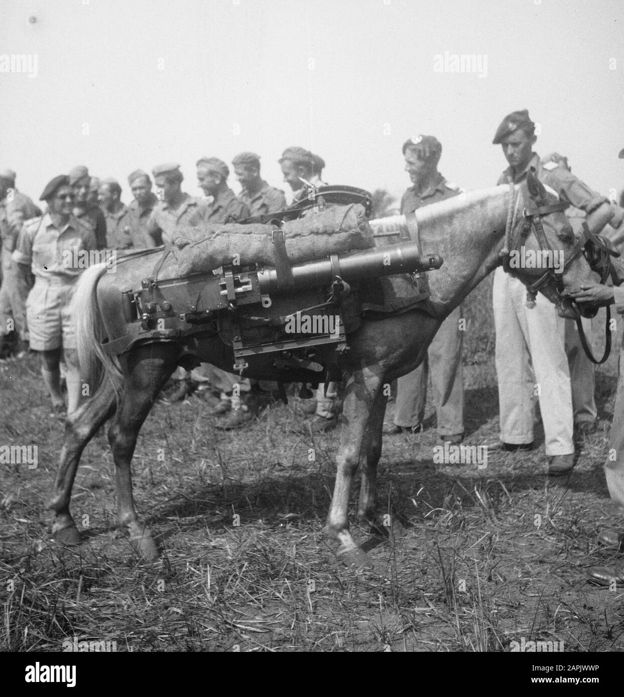 Demonstrations horse depot Z. Sumatra [welding horse packed with ...